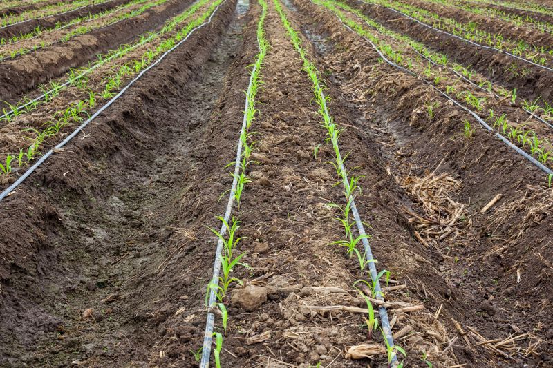 Get Professional Irrigation Installation